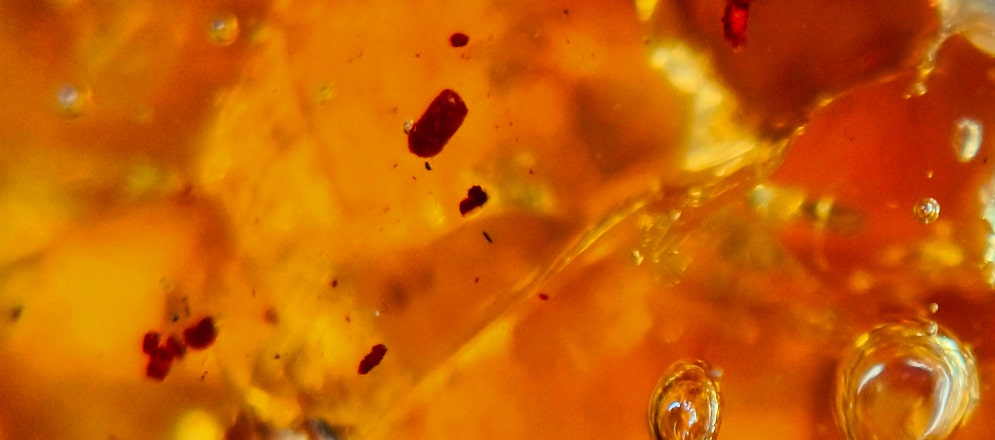 Resinous Fragrances | 50 ml